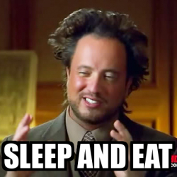Meme Ancient Aliens - sleep and eat - 32317788