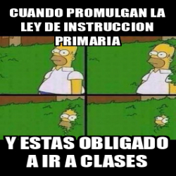 Meme Personalizado - cuando promulgan la ley de instruccion primaria y ...