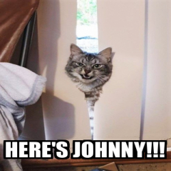 Meme Personalizado - here's johnny!!! - 32322646
