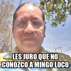 Meme Personalizado - Les juro que no conozco a mingo Loco - 32323055