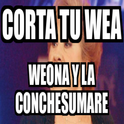 Meme Personalizado - corta tu wea weona y la conchesumare - 32323292