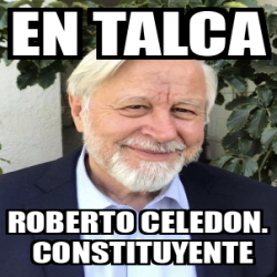 Meme Personalizado - En talca Roberto celedon. Constituyente - 32323579