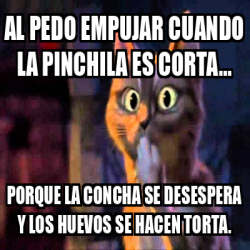 Meme Personalizado - Al pedo empujar cuando la pinchila es corta ...
