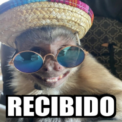Meme Personalizado - RECIBIDO - 32327984