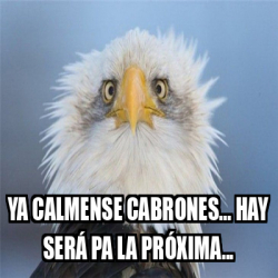 Meme Personalizado - Ya calmense cabrones... Hay será pa la próxima ...