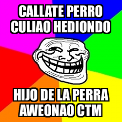 Meme Troll - CALLATE PERRO CULIAO HEDIONDO HIJO DE LA PERRA AWEONAO CTM ...