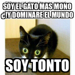 Meme Personalizado - soy el gato mas mono ¿!y dominare el mundo soy ...