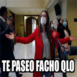 Meme Personalizado - Te paseo facho qlo - 32332180