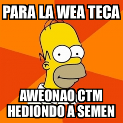 Meme Homer - PARA LA WEA TECA AWEONAO CTM HEDIONDO A SEMEN - 32332895
