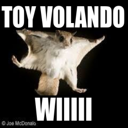 Meme Personalizado - toy volando wiiiii - 32333940
