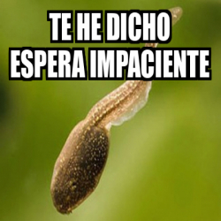 Meme Personalizado - Te he dicho espera impaciente - 32335627