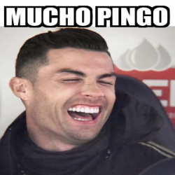 Meme Personalizado - Mucho pingo - 32337094
