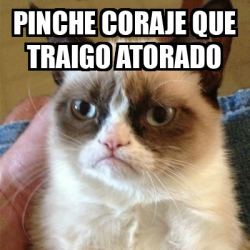 Meme Grumpy Cat - Pinche coraje que traigo atorado - 32344427