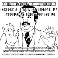 Meme Ay Si - La tiroides es una glándula pequeña con forma de mariposa ...