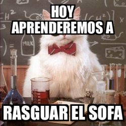 Meme Chemistry Cat - hoy aprenderemos a rasguar el sofa - 32345470