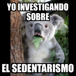 Meme Koala - Yo investigando sobre el SEDENTARISMO - 32353766