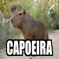 Meme Personalizado - Capoeira - 32356676