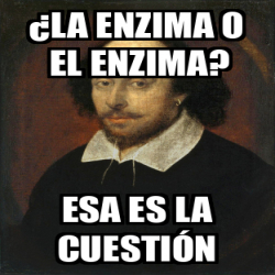 Meme Personalizado - ¿LA ENZIMA O EL ENZIMA? ESA ES LA CUESTIÓN - 32363749