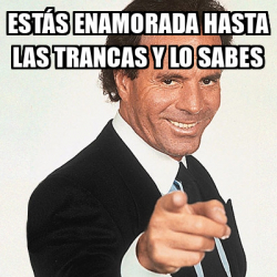 Meme Julio Iglesias - Estás enamorada hasta las trancas y lo sabes ...