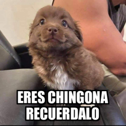 Meme Personalizado - Eres chingona recuerdalo - 32370655