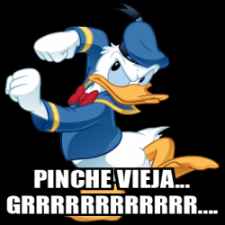 Meme Personalizado - Pinche vieja... Grrrrrrrrrrrr.... - 32372683
