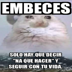 Meme Personalizado - Embeces Solo hay que decir "na que hacer" y seguir ...