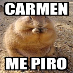 Meme Personalizado - Carmen Me piro - 32377359