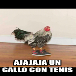 Meme Personalizado - Ajajaja un gallo con tenis - 32380421