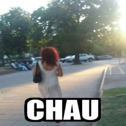 Meme Personalizado - chau - 32381040