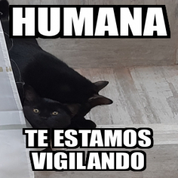 Meme Personalizado - Humana te estamos vigilando - 32389037