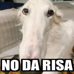 Meme Personalizado - NO DA RISA - 32389560