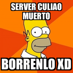 Meme Homer - SERVER CULIAO MUERTO BORRENLO XD - 32395003