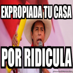 Meme Personalizado - Expropiada tu casa por ridicula - 32395175
