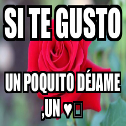 Meme Personalizado - Si te gusto Un poquito déjame ,un ♥️ - 32395487