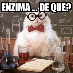 Meme Chemistry Cat - enzima ... de que? - 32398967
