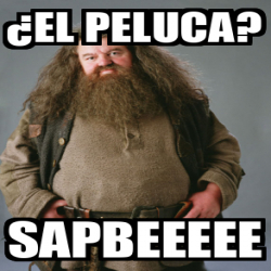 Meme Personalizado - ¿El peluca? Sapbeeeee - 32401670