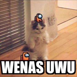 Meme Personalizado - wenas UWU - 32403095
