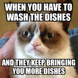 Meme Grumpy Cat - when you have to wash the dishes and they keep ...