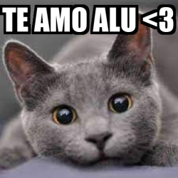 Meme Personalizado - te amo alu
