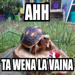 Meme Personalizado - Ahh ta wena la vaina - 32409640