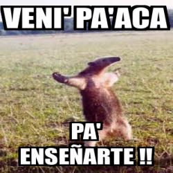 Meme Personalizado - veni' pa'aca pa' enseñarte !! - 32412132