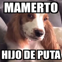 Meme Personalizado - mamerto hijo de puta - 32415619