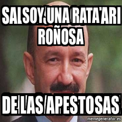 Meme Personalizado - SOY UNA RATA ROÑOSA DE LAS APESTOSAS - 32417182