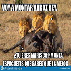 Meme Personalizado - Voy a montar arroz rey. . . ¿Tu eres marisco ...