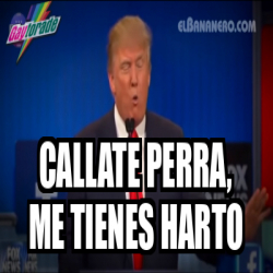 Meme Personalizado - CALLATE PERRA, me tienes harto - 32423211