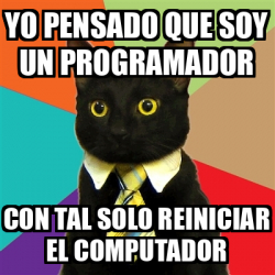Meme Business Cat - Yo pensado que soy un programador con tal solo ...