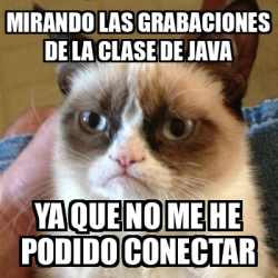 Meme Grumpy Cat - mirando las grabaciones de la clase de java ya que no me he podido conectar ...