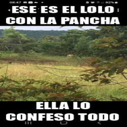 Meme Personalizado - Ese es el lolo con la Pancha Ella lo confeso todo ...