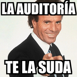 Meme Julio Iglesias - La auditoría te la suda - 32430533