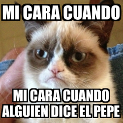 Meme Grumpy Cat - mi cara cuando mi cara cuando alguien dice el pepe ...